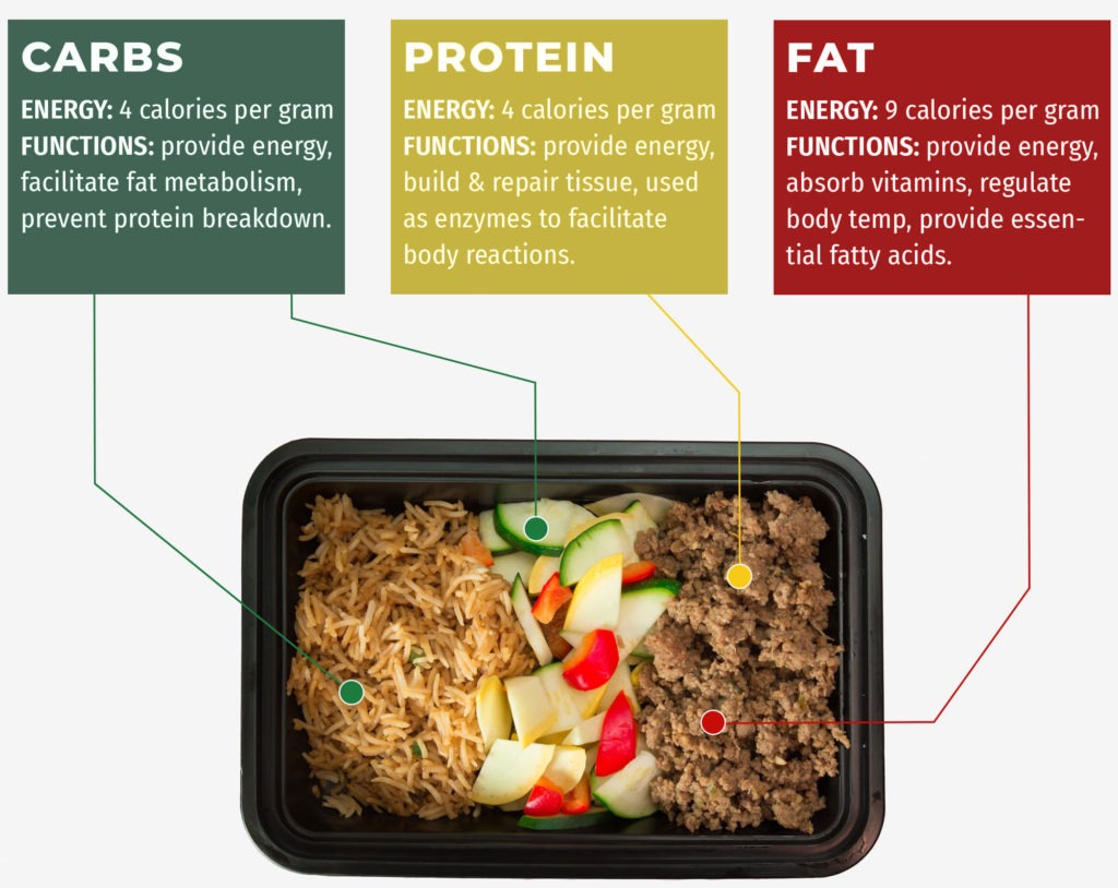 Meal Prep Solution For Your Busy Life - Muscle Fuel Meals